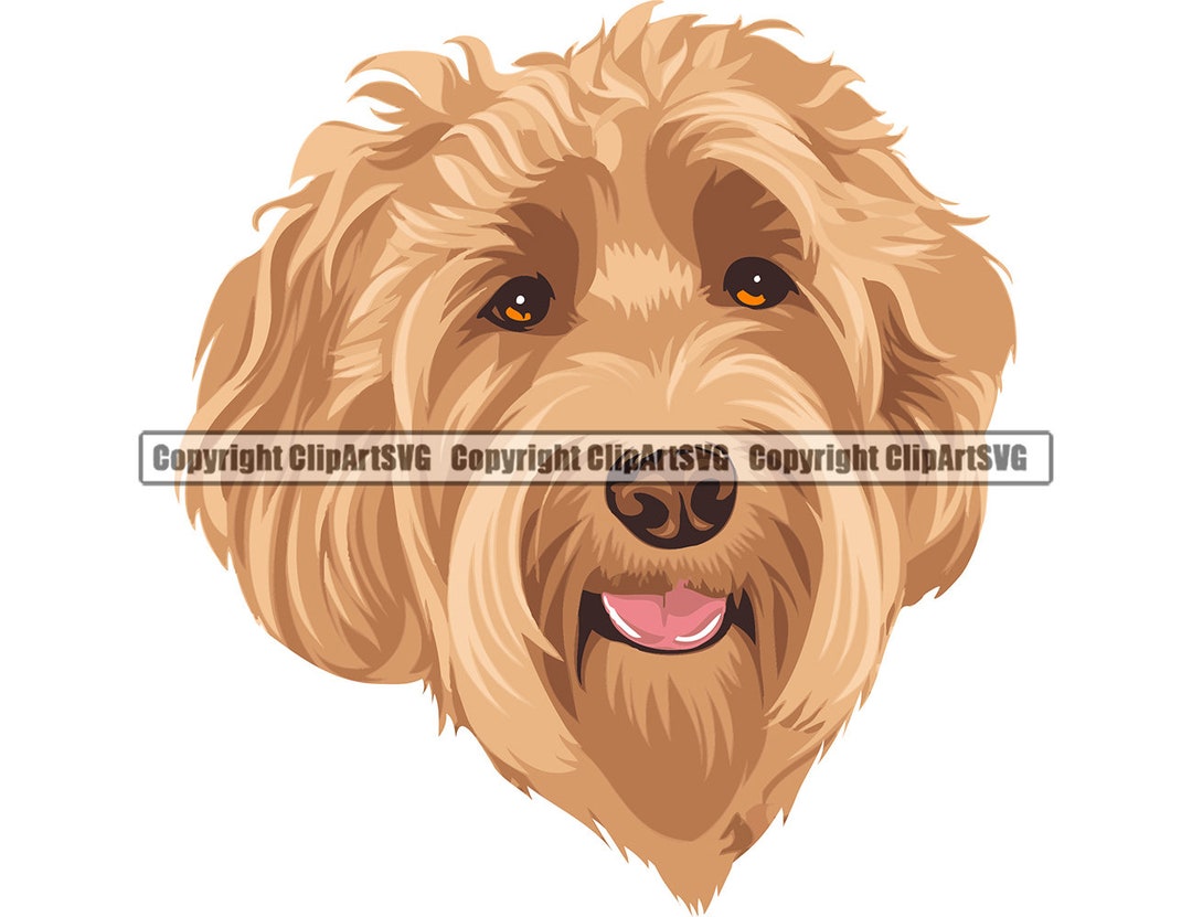 Labradoodle Dog Breed Head Face Puppy Animal Pet Happy Hound Pedigree ...