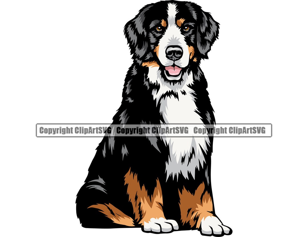 Bernese Mountain Dog Sit Sitting Happy Breed Paw Puppy Pup Pet Art St ...