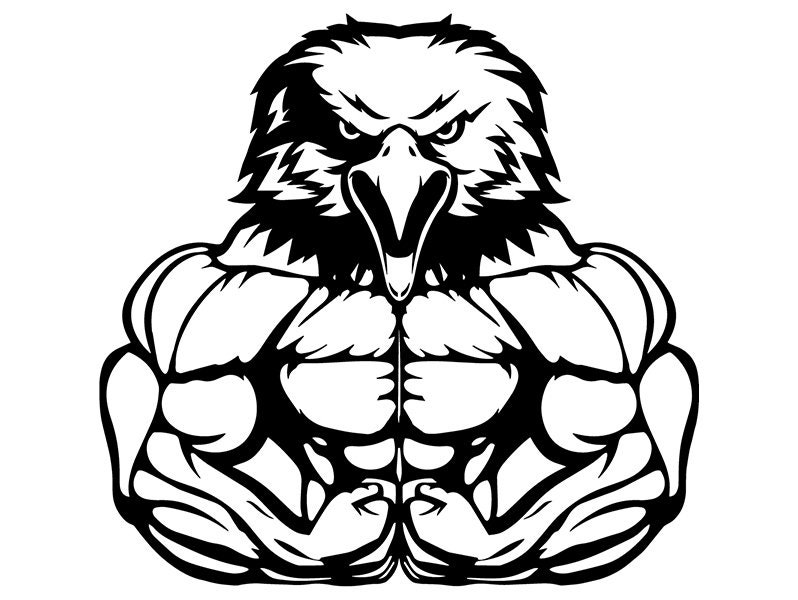 Bodybuilding Eagle 4 Bodybuilder Muscle Fit Weightlifting | Etsy