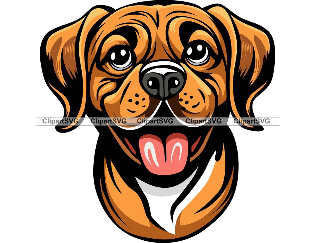 Puggle Smiling Dog Cute Puppy Head Canine Pet Pug Beagle Breed Purebred ...
