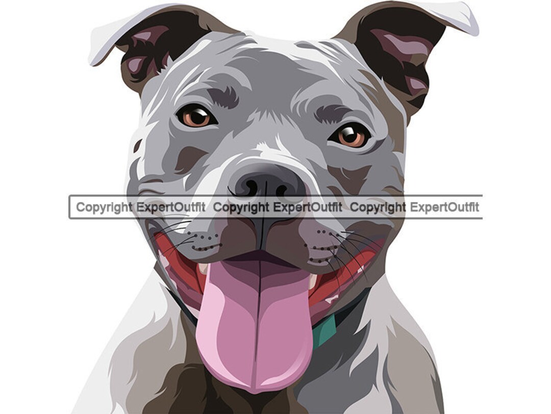Pit Bull Dog Breed Smiling Puppy Animal Pet Happy Hound Pedigree ...