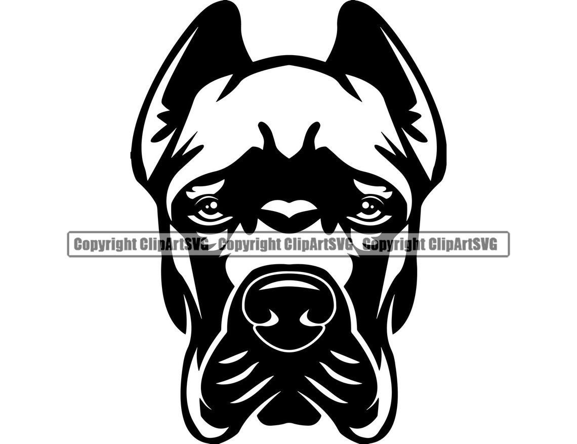 Cane Corso Dog Breed Head Face Paw Puppy Pup Pet Art K9 Great Dane ...