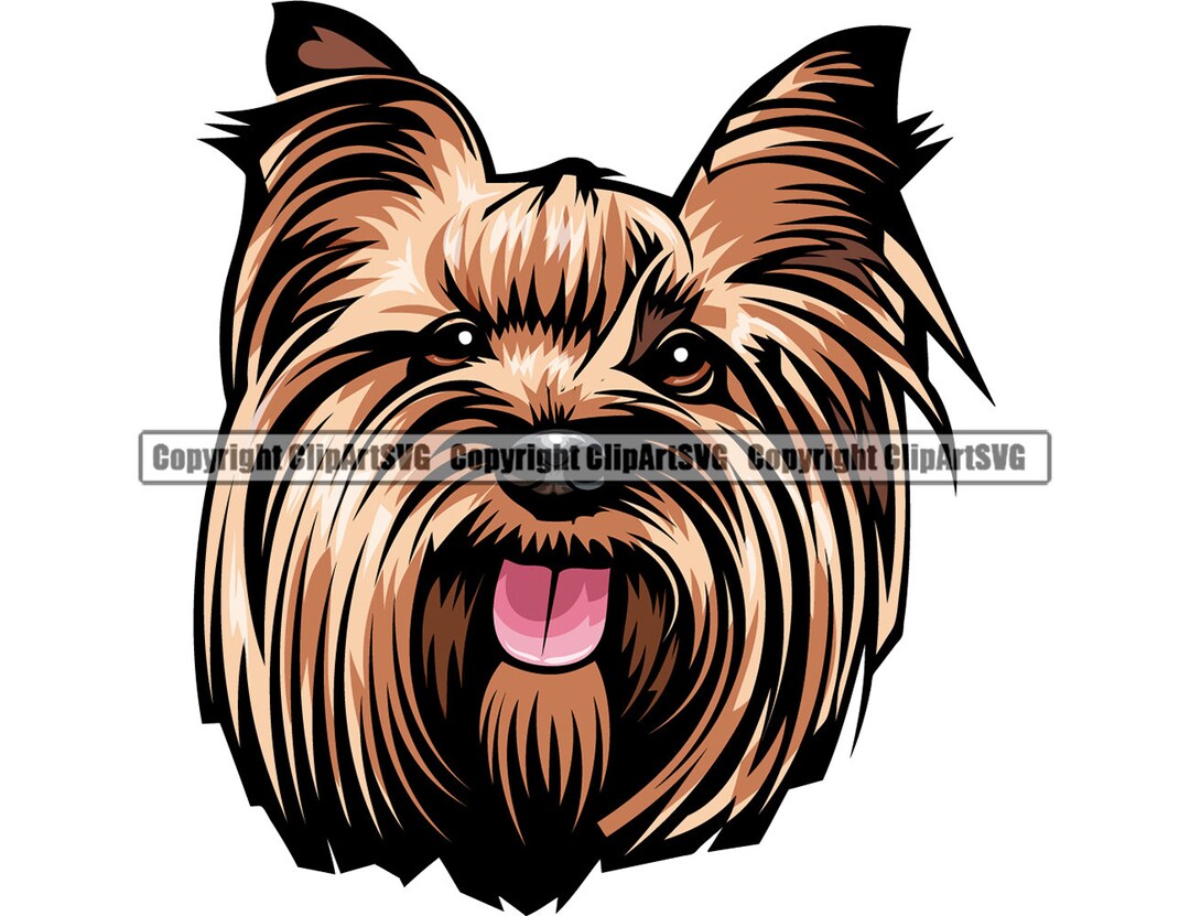 Yorkshire Terrier Yorkie Dog Breed Happy Face Puppy Animal Pet Long ...