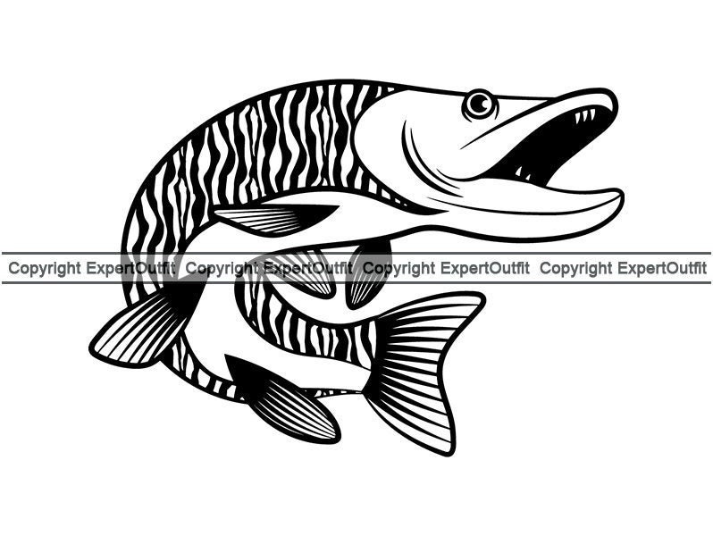 Muskie Fish Clipart