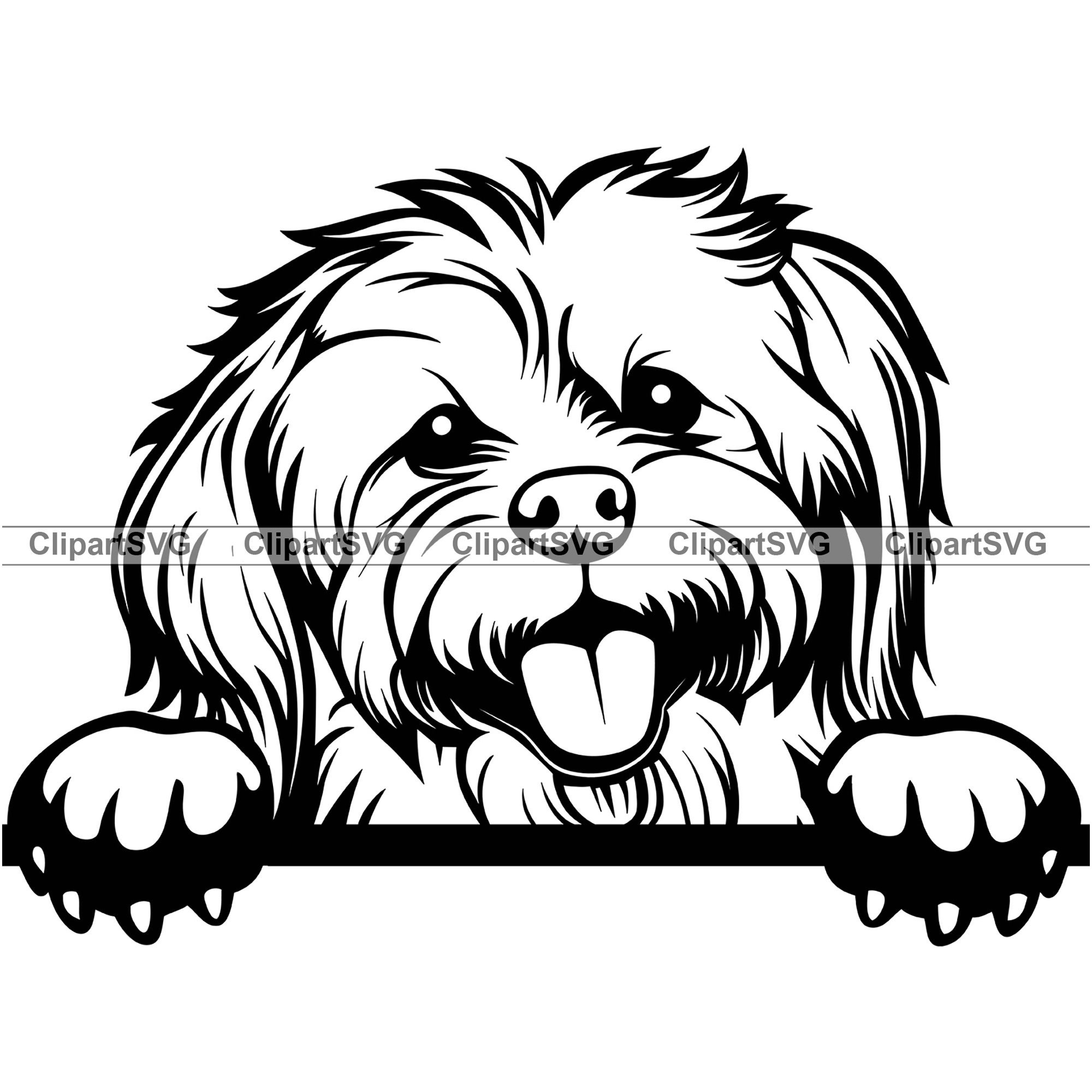 Lhasa Apso Vetstreet