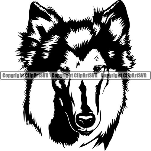 Sheltie Dog Head Svg Vector Graphic Art Shetland Sheepdog Cut - Etsy