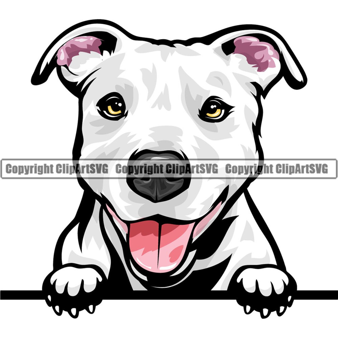 Pit Bull Dog Peeking Peek-a-boo Breed Happy Face Puppy Animal Pet Color ...