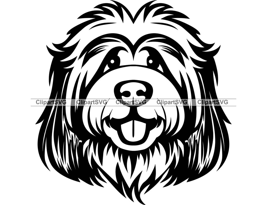 Old English Sheepdog Smiling Dog Cute Puppy Face Bearded Collie Canine ...