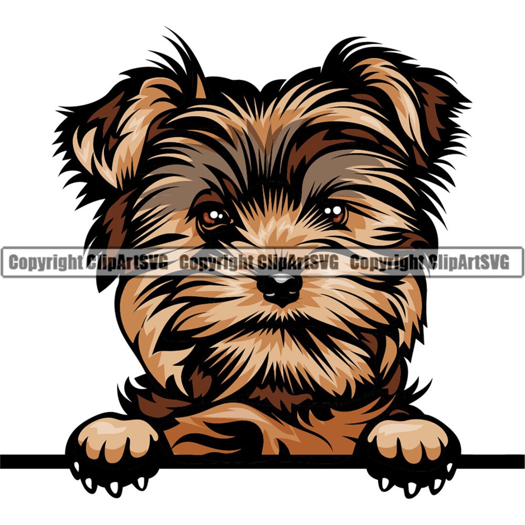 Yorkshire Terrier Yorkie Dog Peeking Peek-a-boo Breed Happy Face Puppy ...