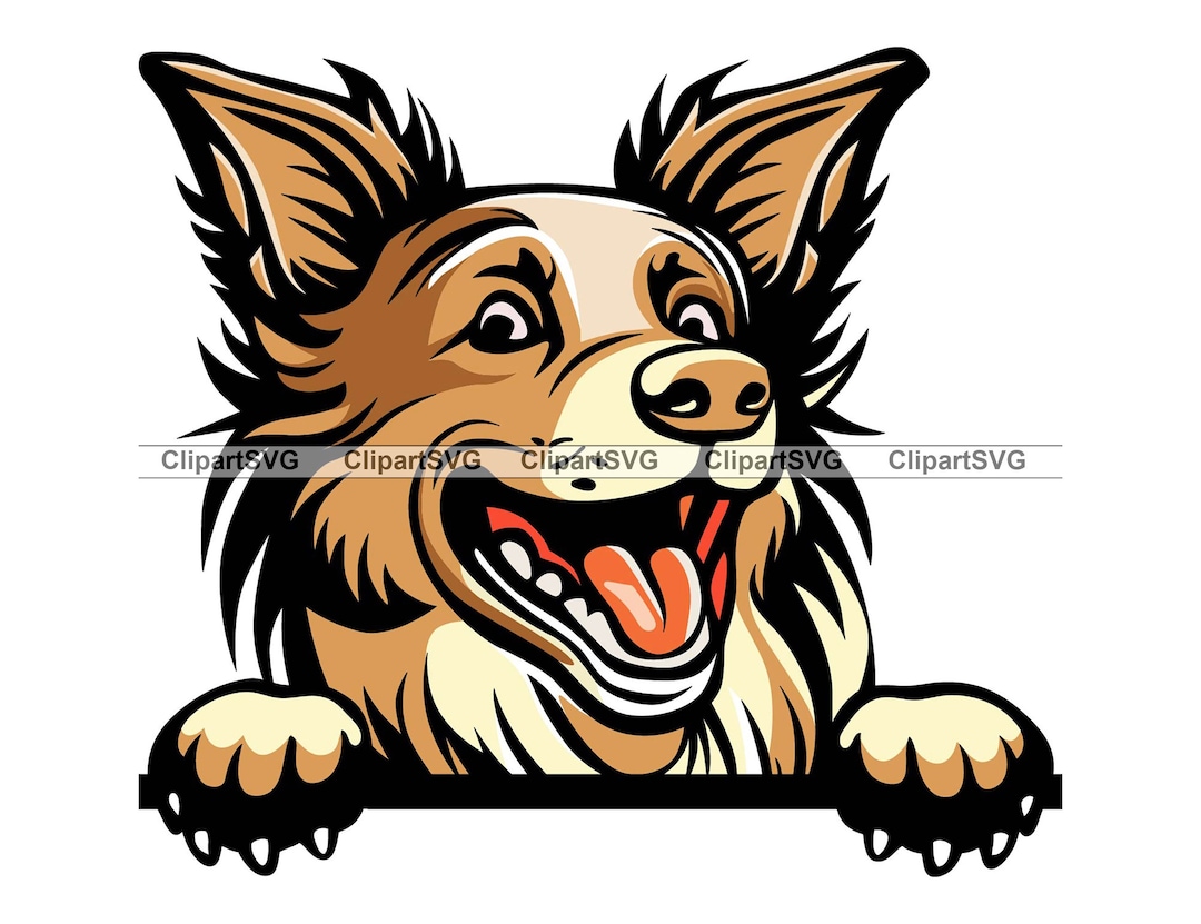 Chinook Smiling Peeking Dog Head Cute Puppy Face Canine Breed Pet Love ...