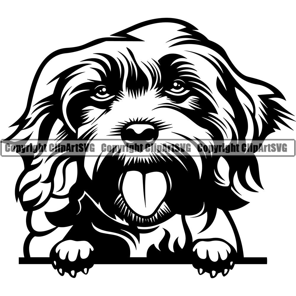 Cockapoo Dog Breed Peeking Peek-a-boo Happy Paw Puppy Pup Pet - Etsy UK