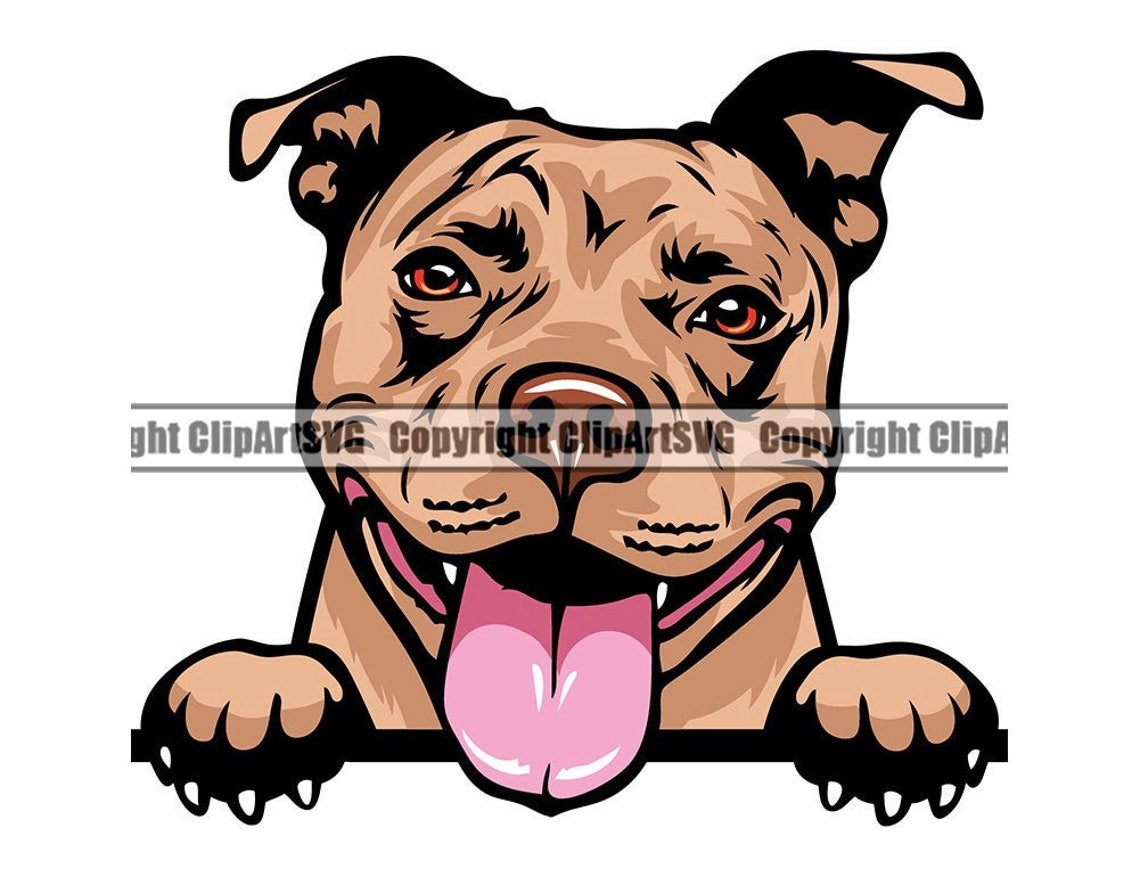 Pit Bull Dog Peeking Peek-a-boo Breed Happy Face Puppy Animal | Etsy