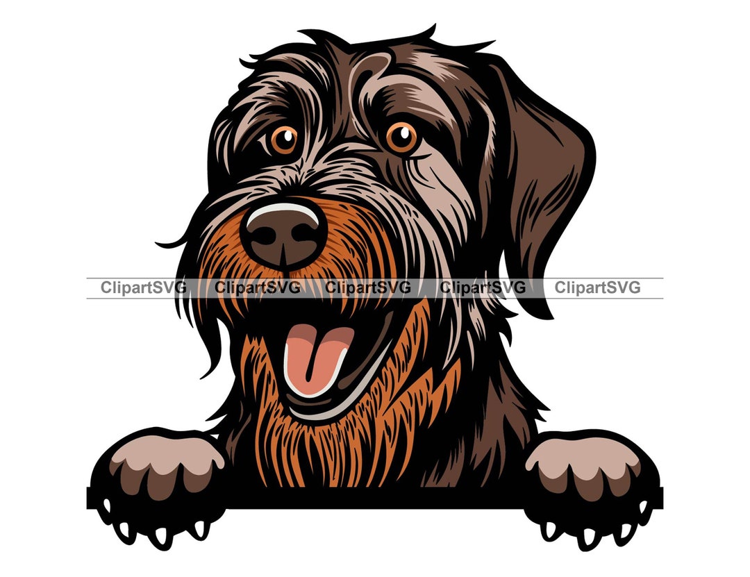 German Wirehaired Pointer Smiling Peeking Dog Puppy Head Canine Pet ...