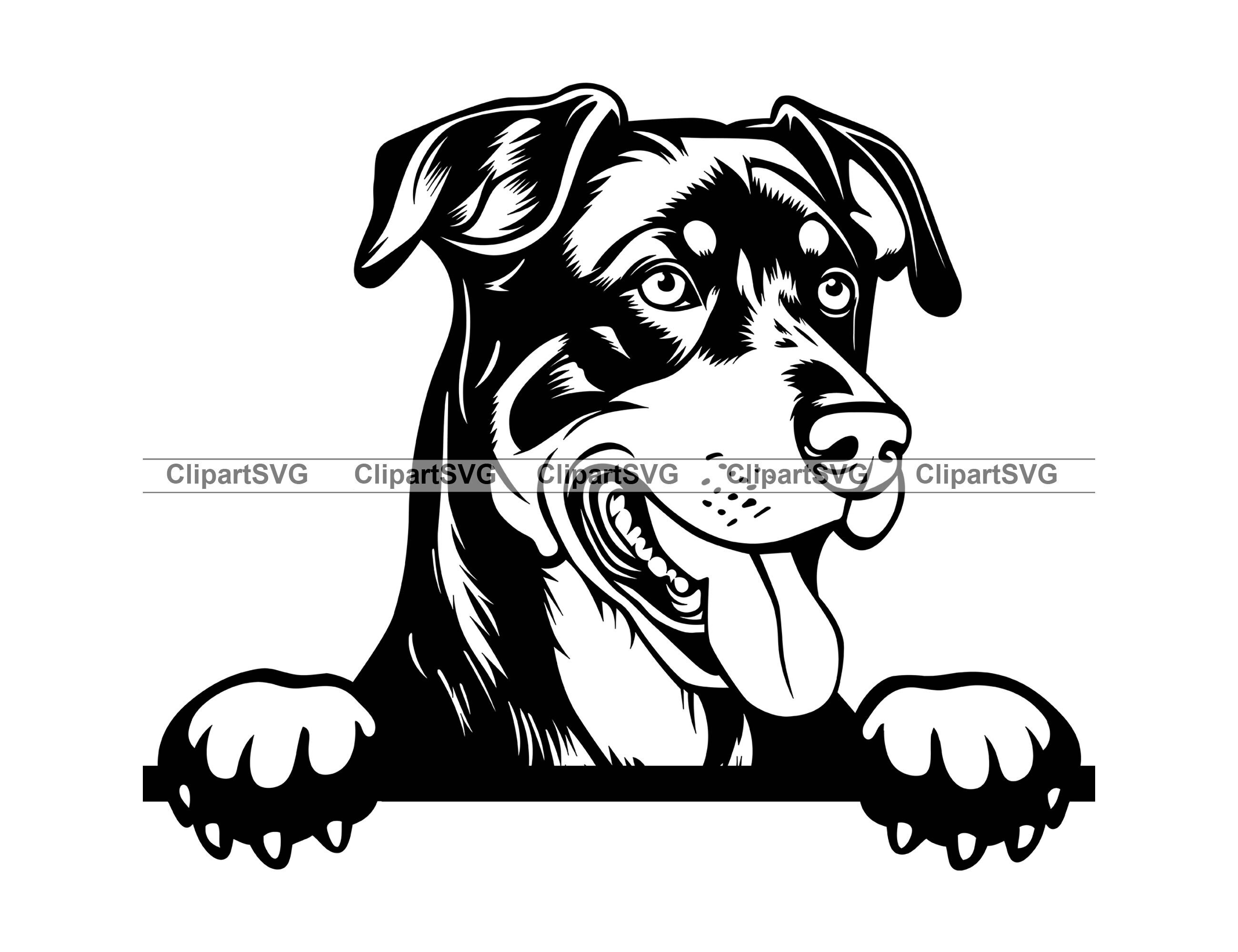 Beauceron Smiling Peeking Dog Head Puppy Face Canine Breed Pet Portrait ...