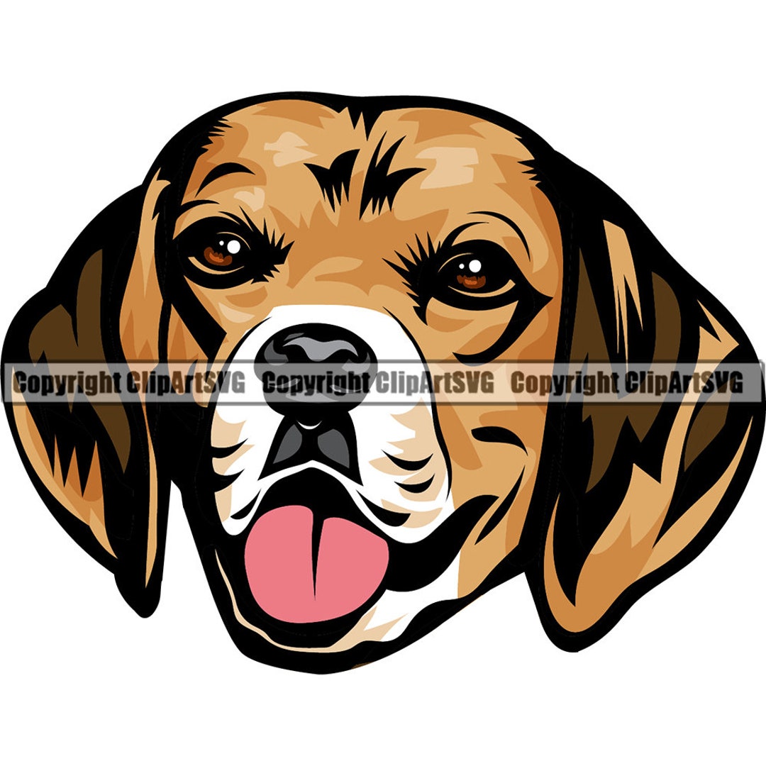 Beagle Dog Breed Happy Face Puppy Smile Animal Pet Pedigree Purebred ...