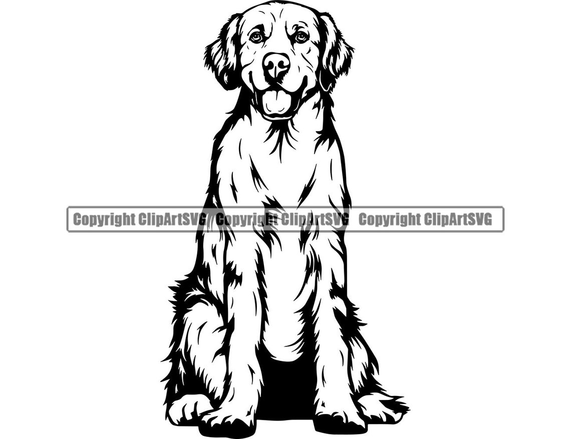 Golden Retriever Dog Sit Sitting Breed Happy Puppy Pup Pet Purebred ...