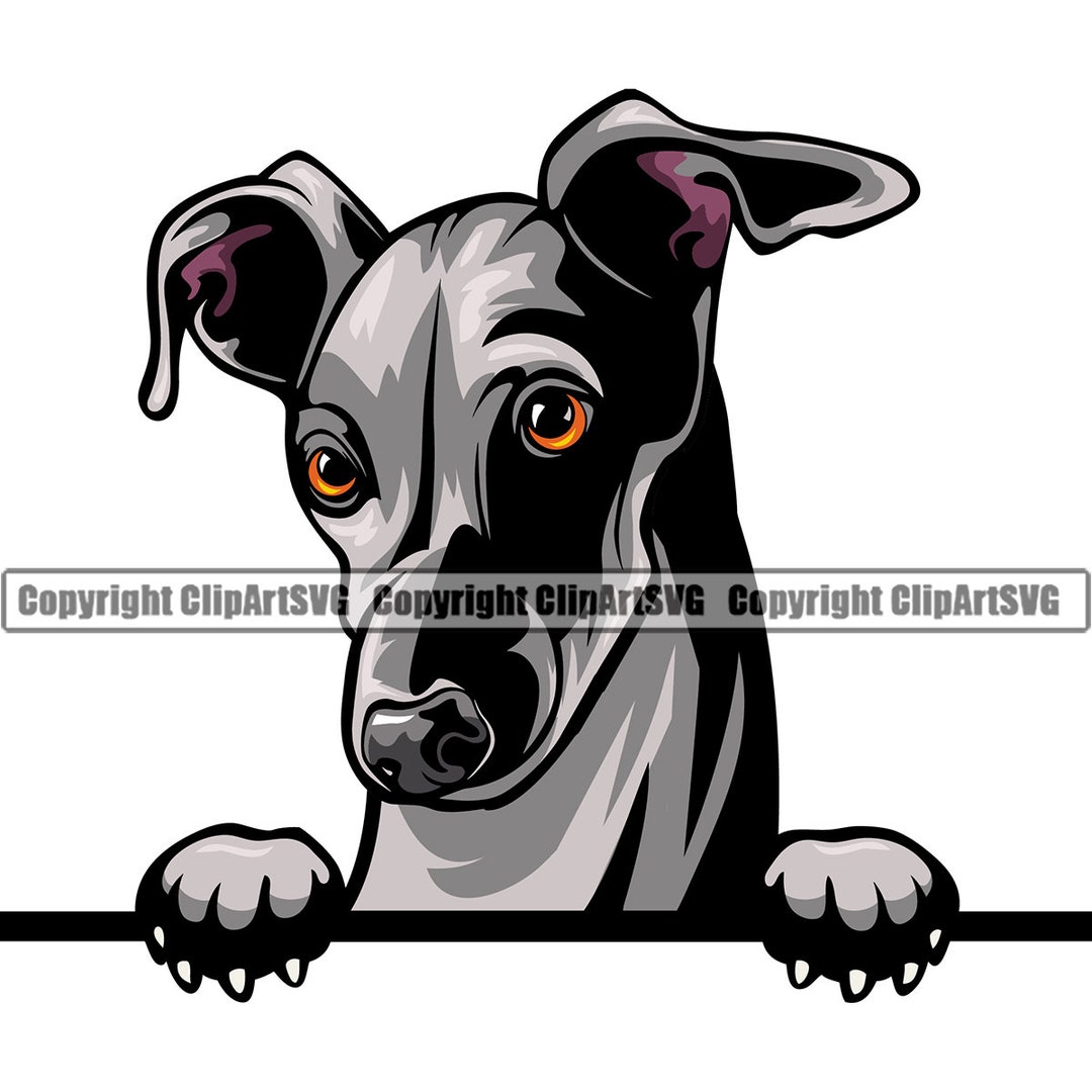 Greyhound Dog Breed Peeking Peek-a-boo Smile Paw Puppy Pup Pet K-9 ...