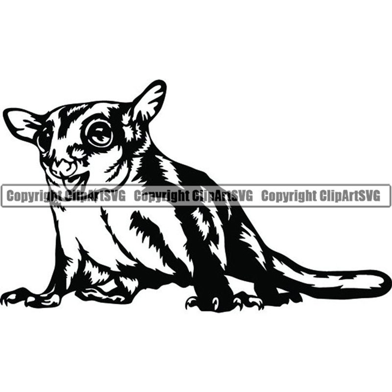 Sugar Glider Art - Etsy