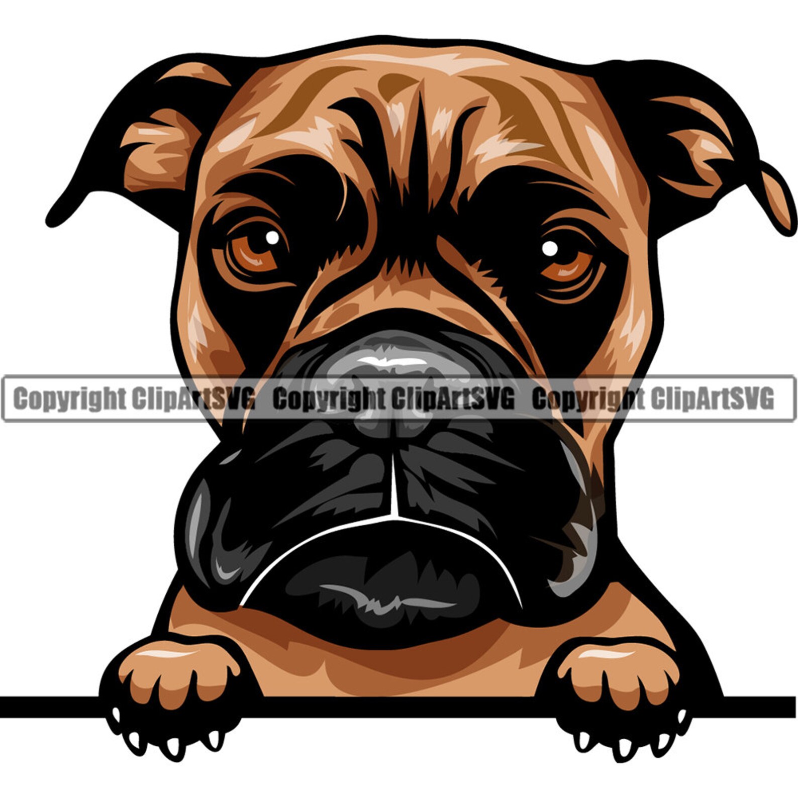 Boxer Dog Breed Peeking Peek-a-boo Happy Face Puppy Animal Pet Pedigree ...
