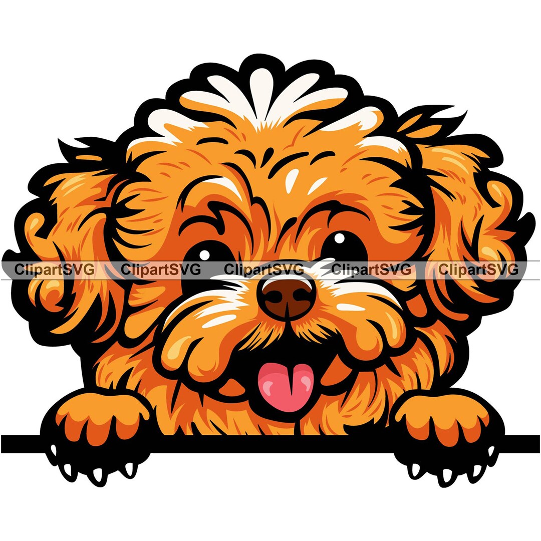 Pomapoo Smiling Peeking Dog Cute Puppy Head Canine Pet Pomeranian Toy ...