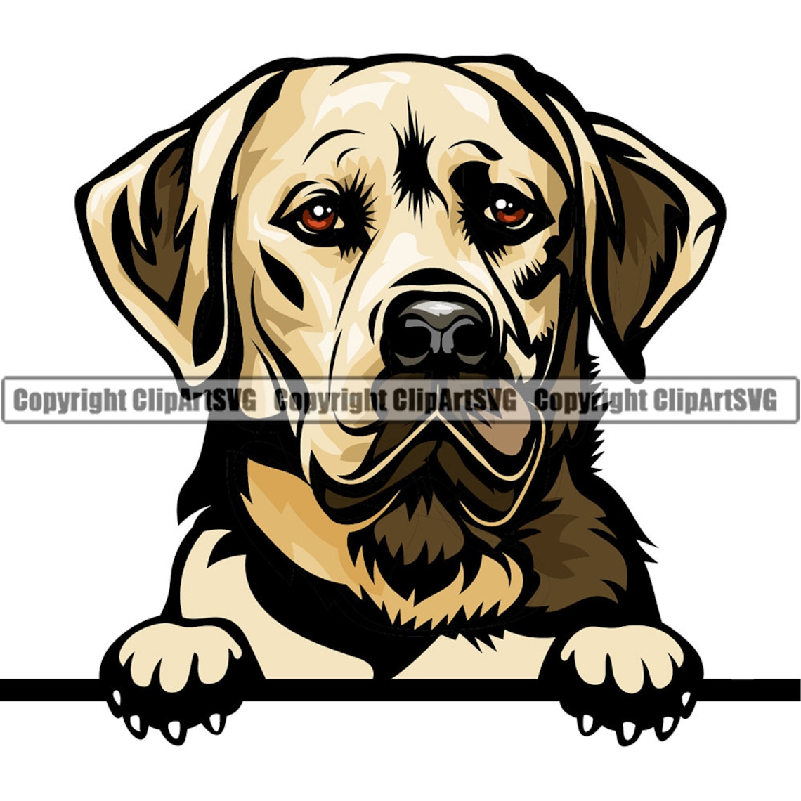 Labrador Dog Peeking Peek-a-boo Breed Happy Face Puppy Animal - Etsy