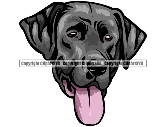 Labrador Dog Breed Happy Face Puppy Animal Pet Pedigree | Etsy