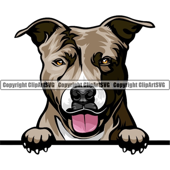 Pit Bull Dog Peeking Peek-a-boo Breed Happy Face Puppy Animal | Etsy