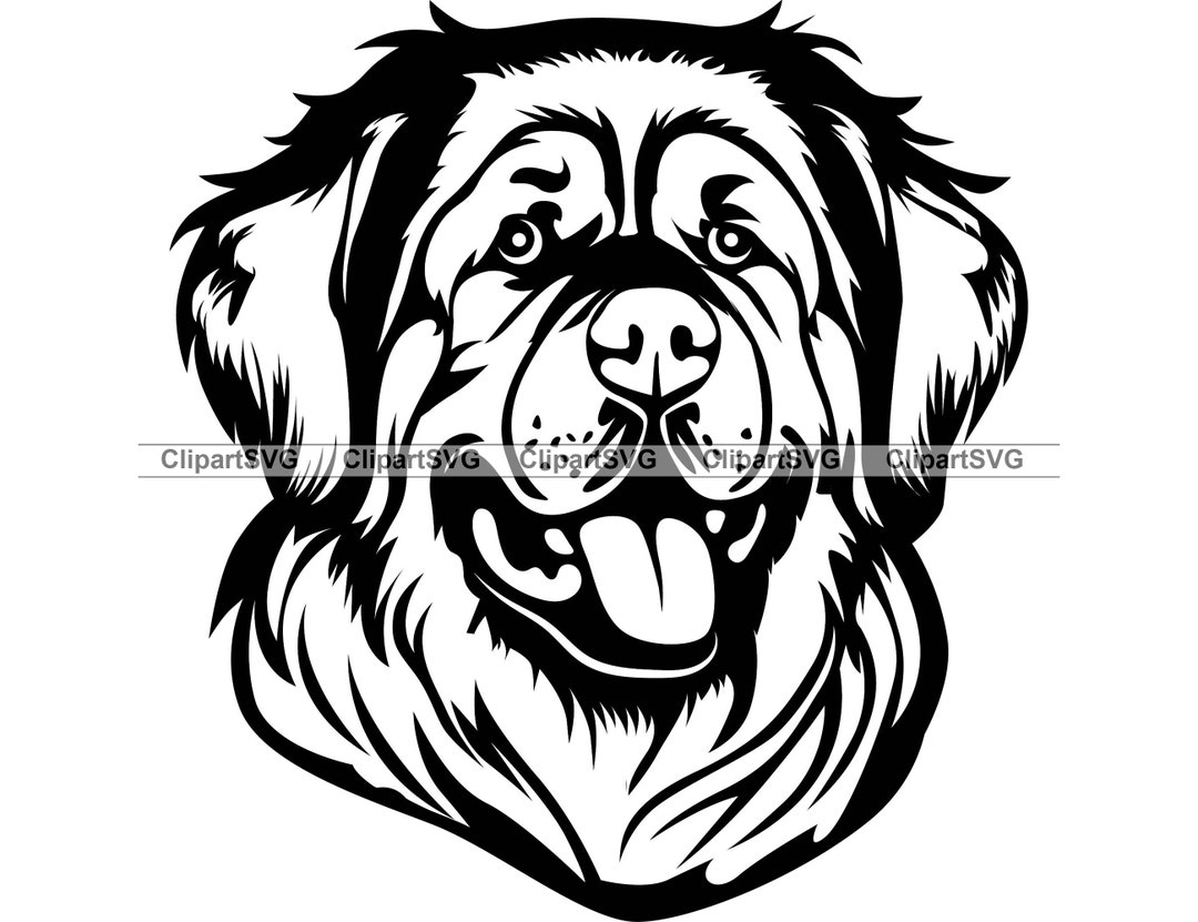 Tibetan Mastiff Smiling Dog Cute Puppy Face Canine Pet Newfoundland ...