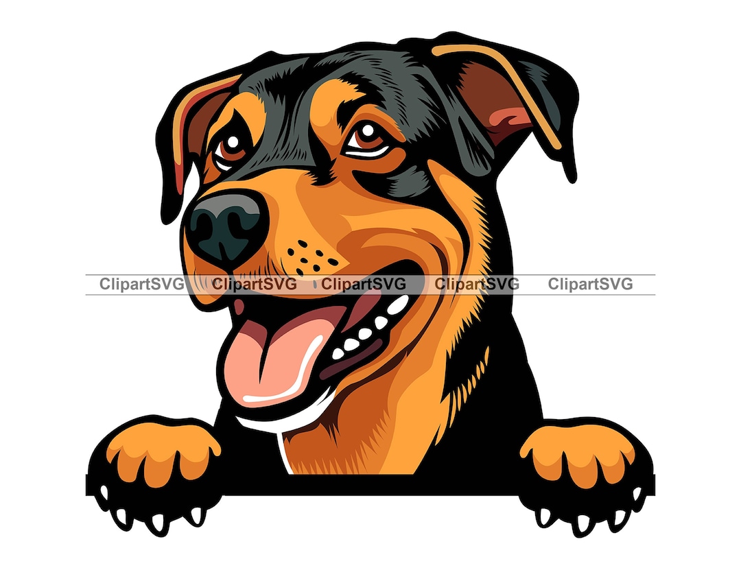 Shepweiler Smiling Peeking Dog Cute Puppy Head Canine Pet German ...