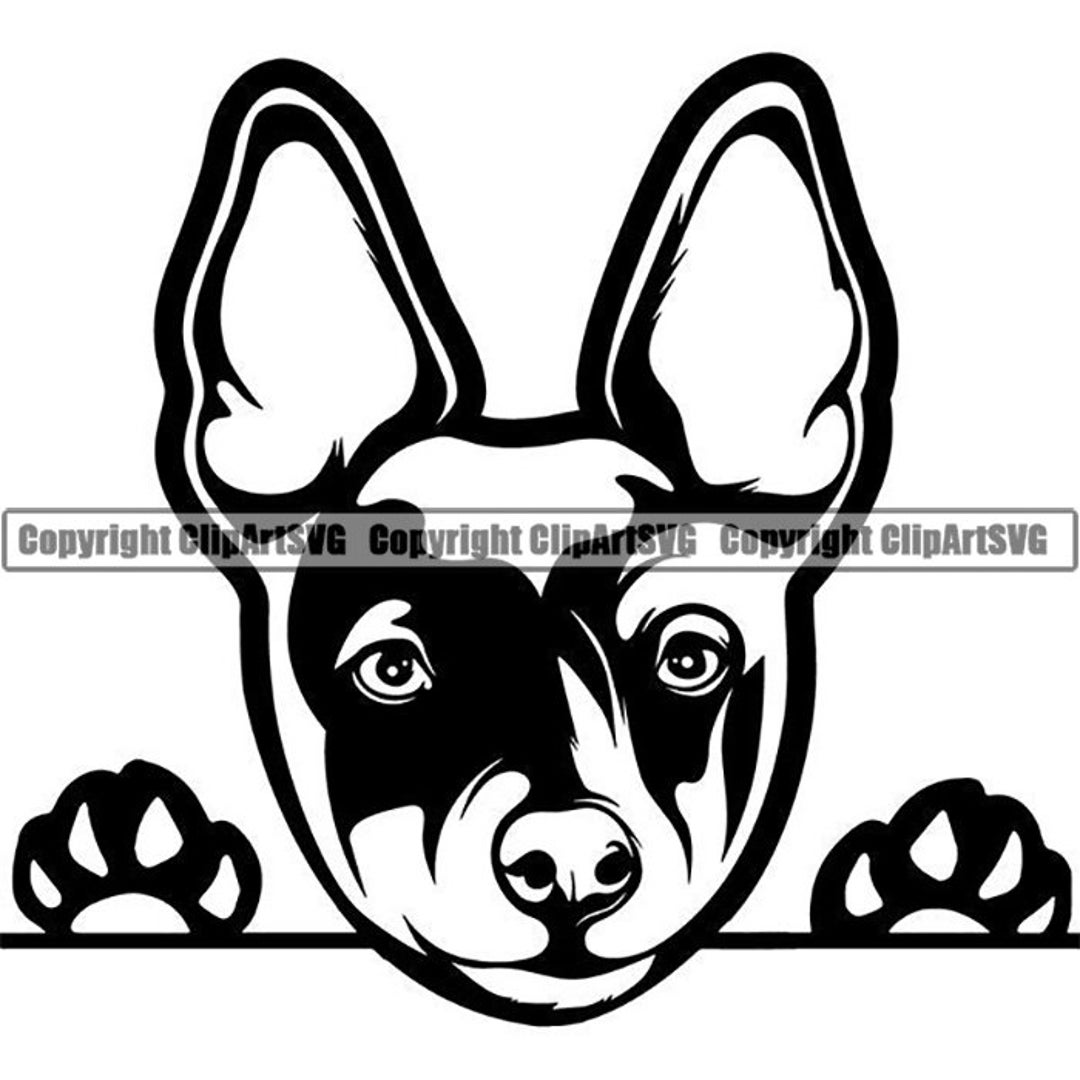 Rat Terrier #4 Peeking Smiling Dog Breed K-9 Animal Pet Puppy Paws ...