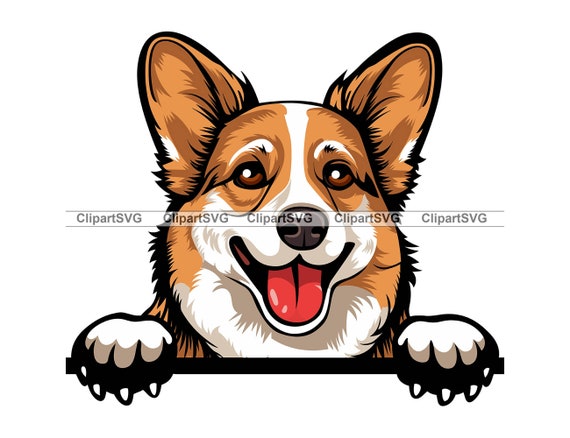 Corgi Face Drawing