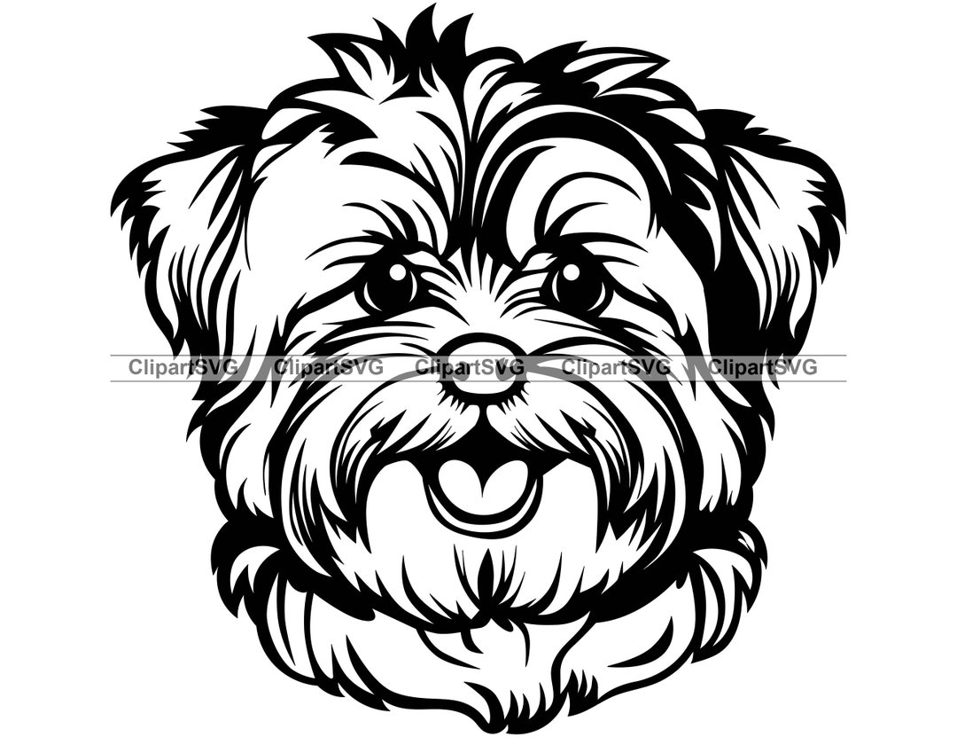 Morkie Smiling Dog Cute Puppy Face Canine Pet Maltese Yorkshire Terrier ...