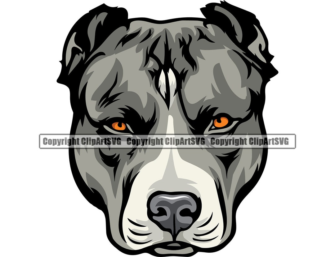 American Pit Bull Head Face Dog Happy Breed Terrier Paw Puppy Pet ...