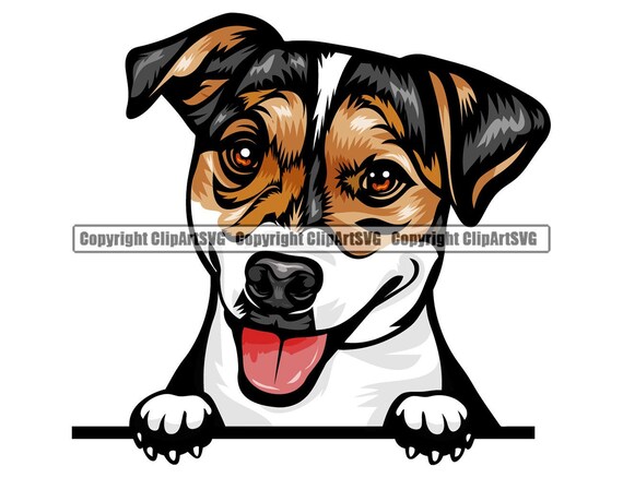 Jack Russell Terrier Dog Breed Face Happy Puppy Animal Pet - Etsy