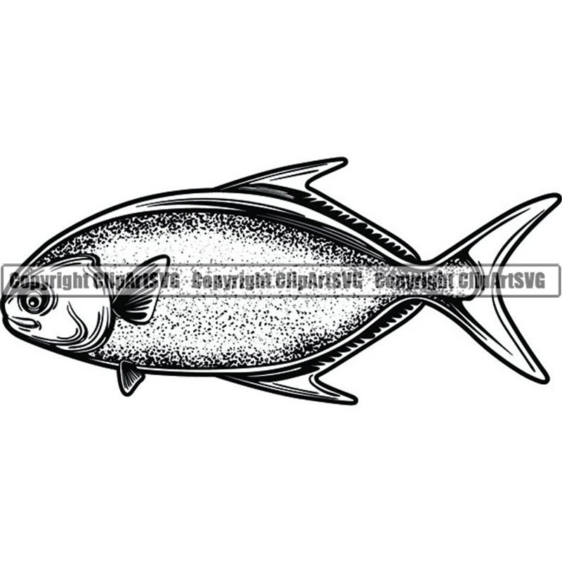 Pompano Fish #1 Fishing Angling Salt Water Ocean Sea Animal Wildlife ...
