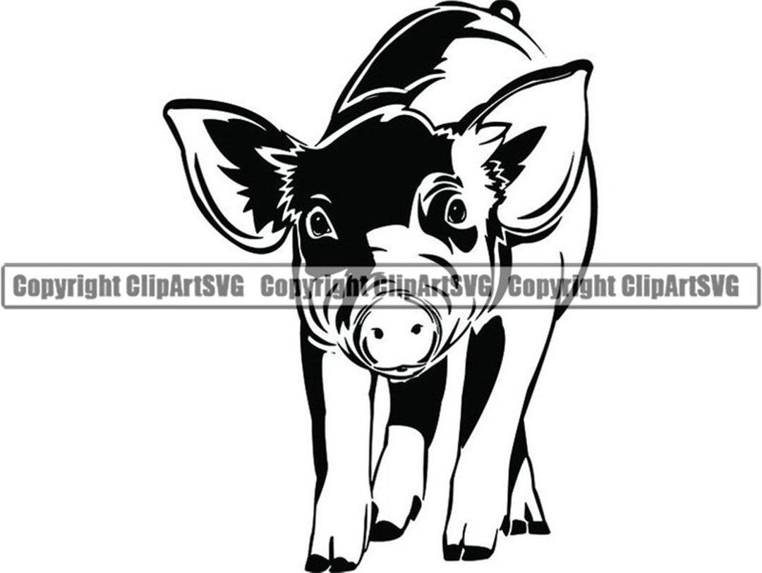 Pig 3 Pork Farm Animal Hog Grill Grilling Meat Barbecue Butcher Cooking ...