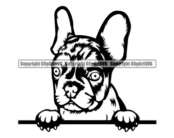 French Bulldog Merle Vector - Etsy