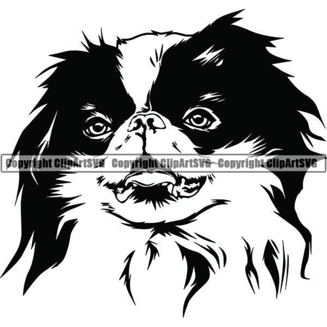 Japanese Chin #1 Happy Smiling Dog Breed Paws Pedigree Canine Purebred ...