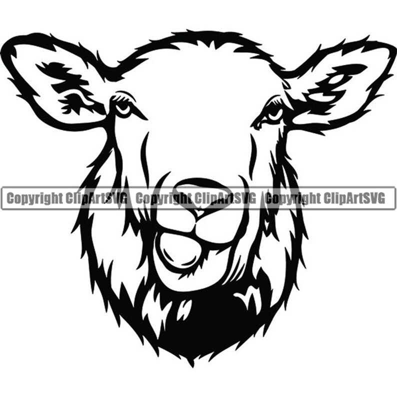 Sheep #2 Lamb Head Face Profile Farm Livestock Animal Zoo Mutton Nature ...