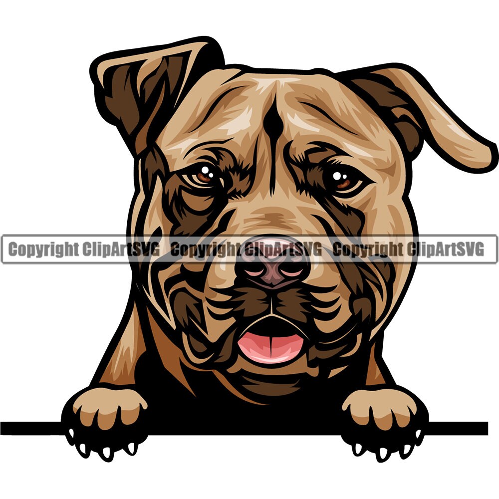 Pit Bull Dog Peeking Peek-A-Boo Breed Happy Face Puppy Animal | Etsy