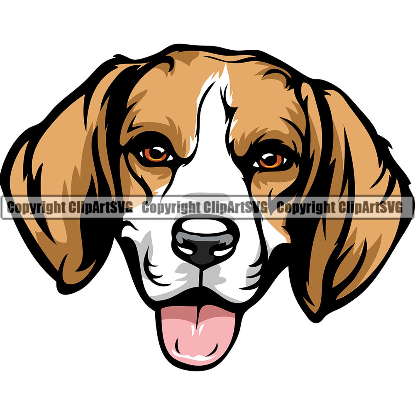 Beagle Dog Head Face Smiling Breed Happy Puppy Animal Pet Pedigree ...