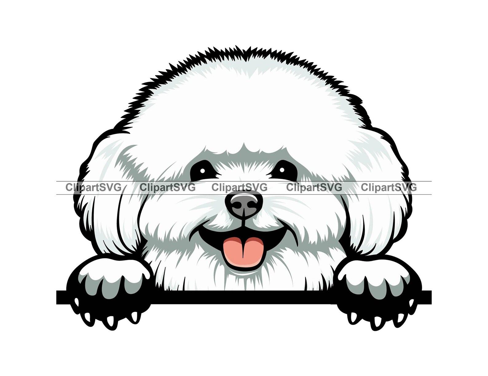 Bichon Frise Smiling Peeking Dog Cute Puppy Face Canine Pet - Etsy