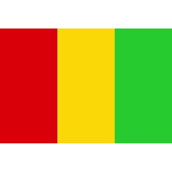 Guinea West Africa African Country World National Nation Flag | Etsy