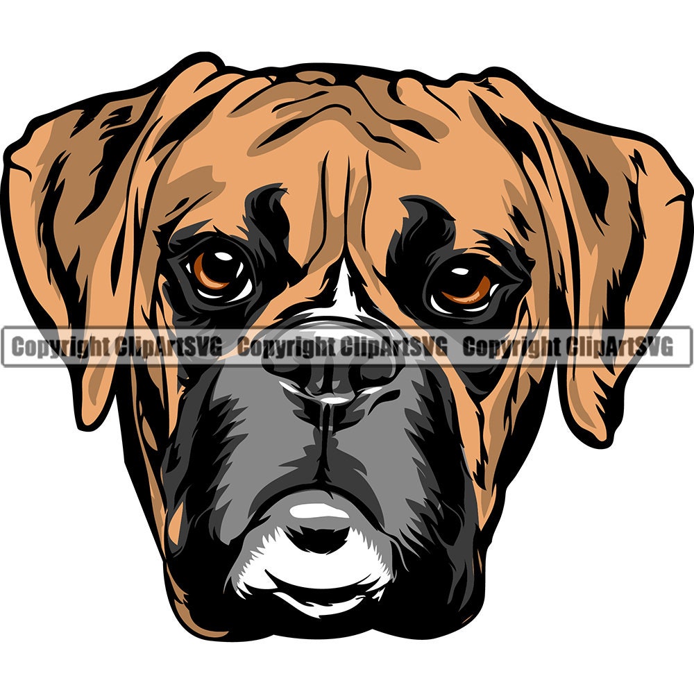 Boxer Dog Breed Happy Face Puppy Smile Animal Pet Pedigree Purebred Pit ...