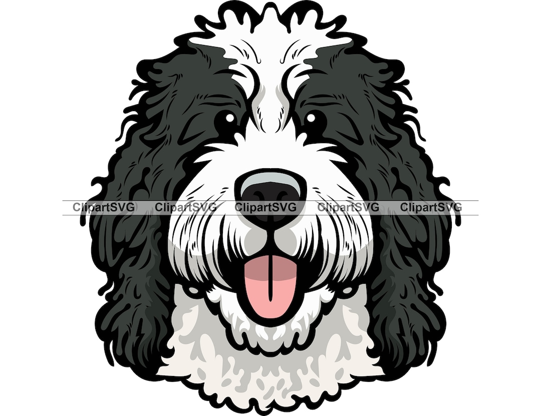 Sheepadoodle Smiling Dog Cute Puppy Head Canine Pet Old English ...