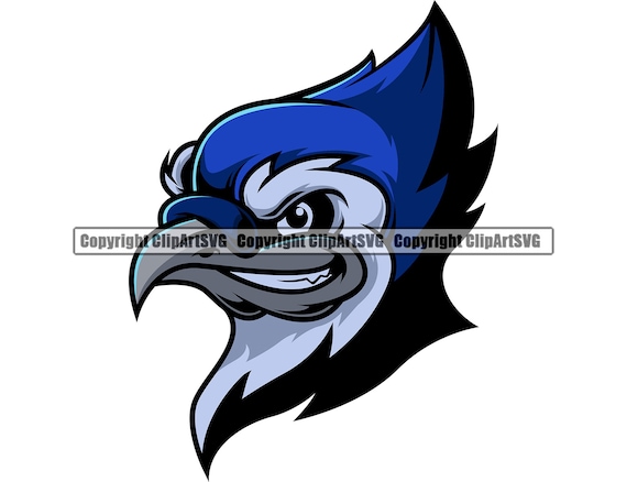 Blue Jay Mascot Clipart Images