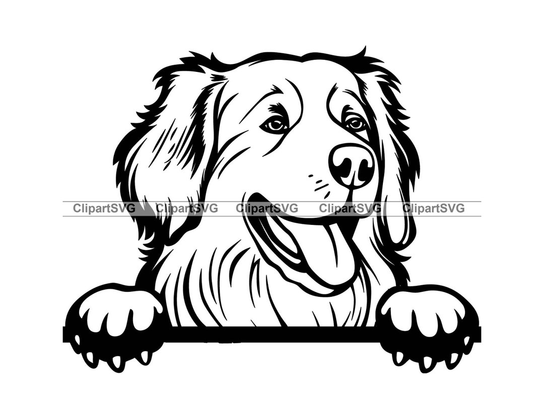 Great Pyrenees Smiling Peeking Dog Puppy Face Canine Breed Pet Portrait ...