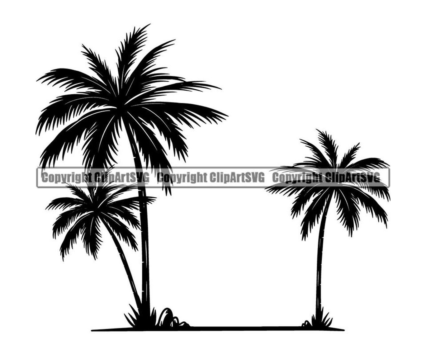 Palm Tree Summer Vacation Beach Nature Umbrella Relax Relaxing Drink ...