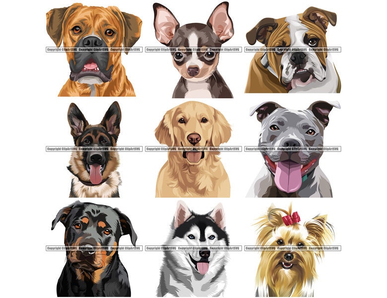 BUNDLE Dog Breeds Head Face Puppy Pup Canine Pedigree Purebred ...