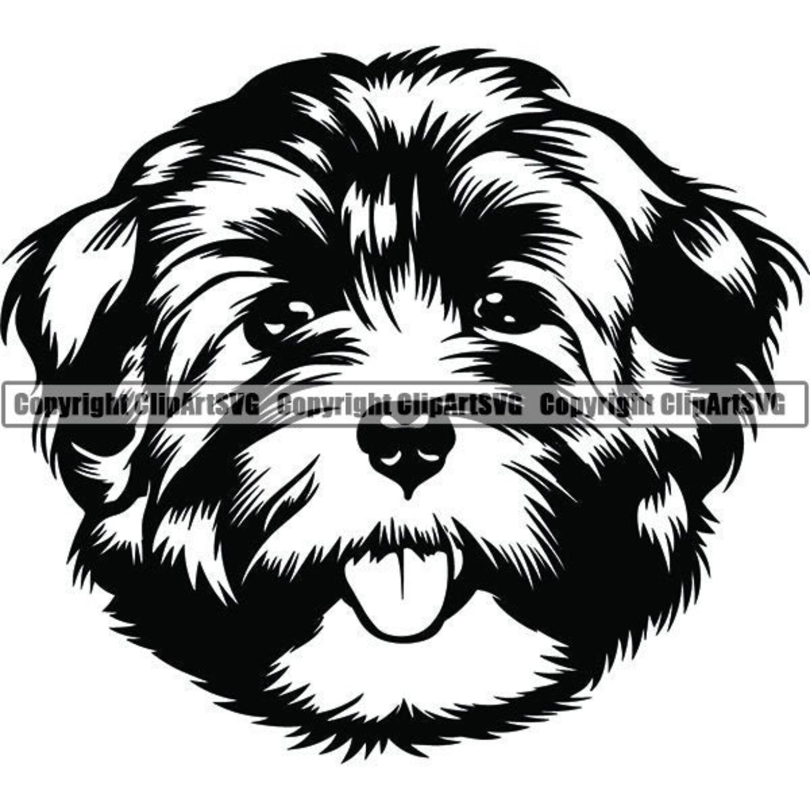 Havanese #8 Happy Paws Dog Breed Pedigree Canine Purebred K-9 Pet Hound ...